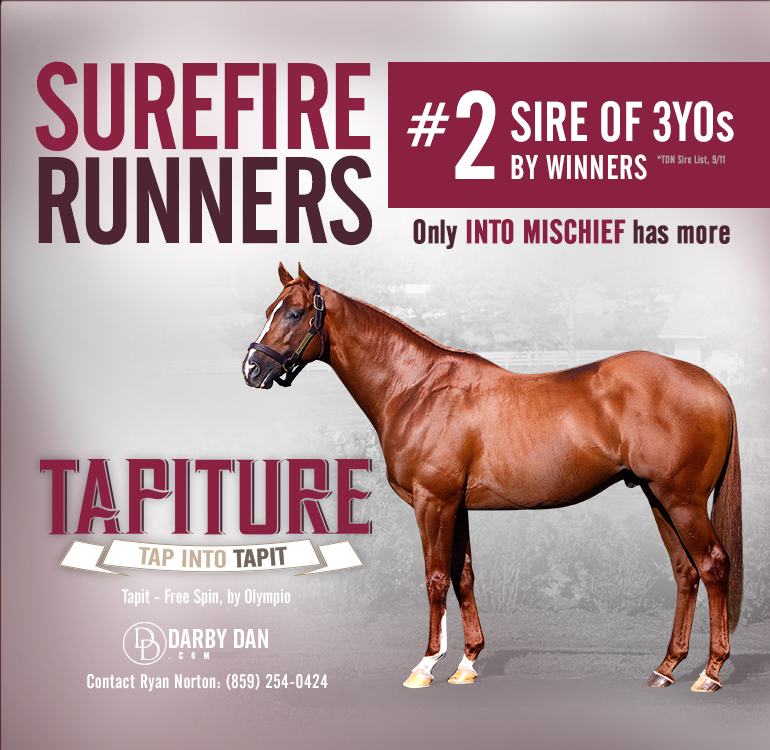 Tapiture Most Popular Photos