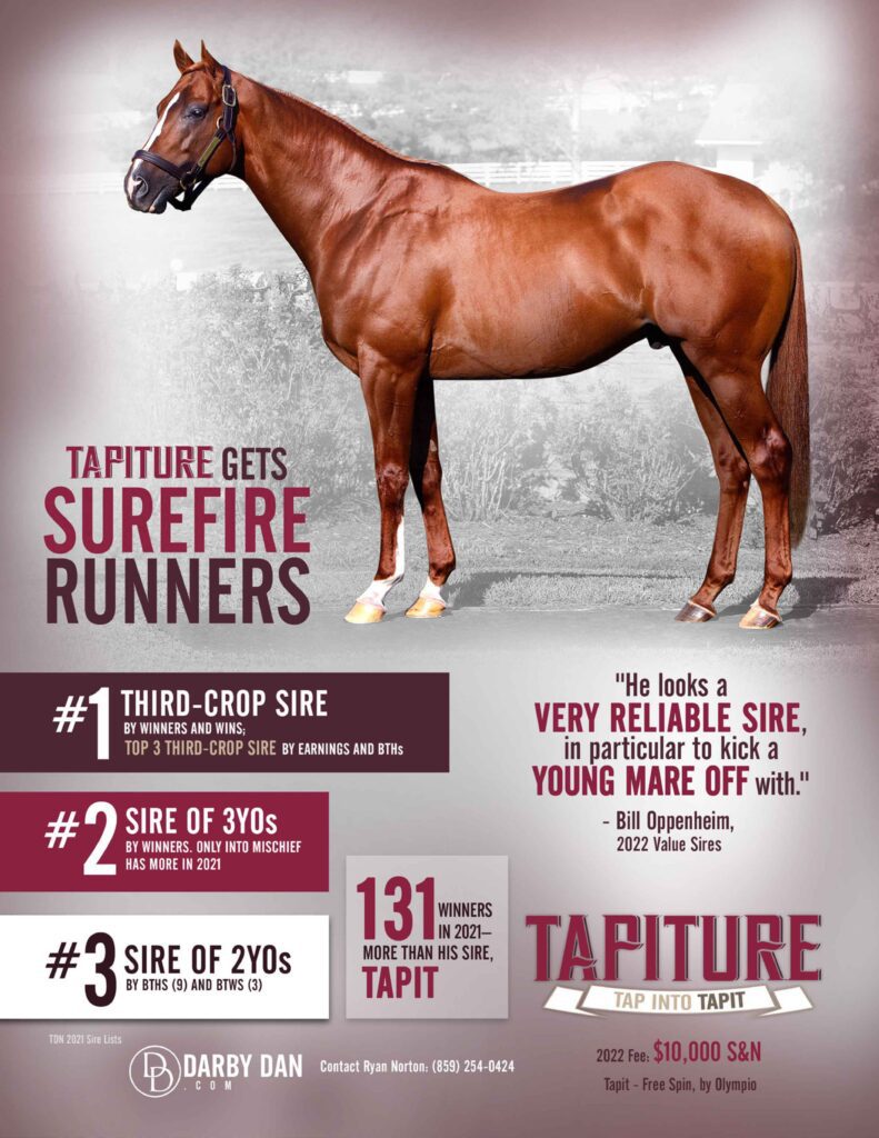 Tapiture Beliebtesten Fotos