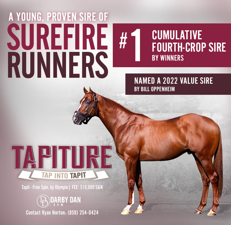 Tapiture Beliebtesten Fotos