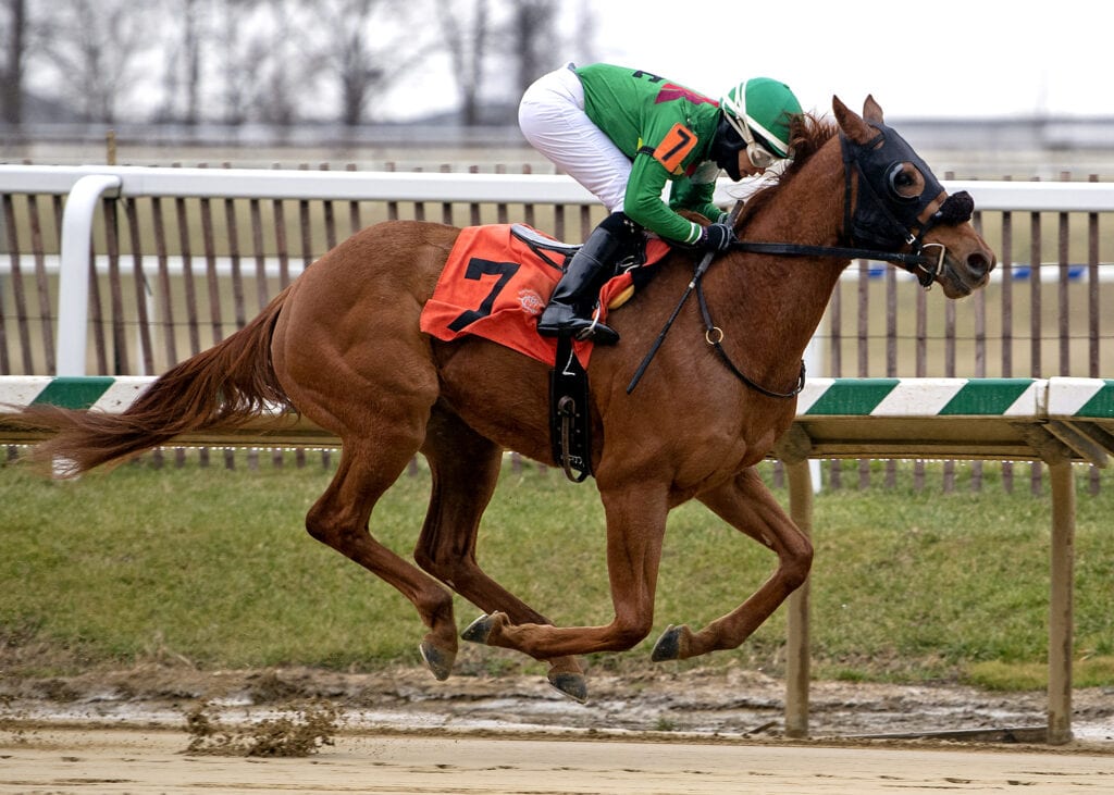 Tapiture chalks up two MdSpWt winners in 2020 debuts – Darby Dan Farm