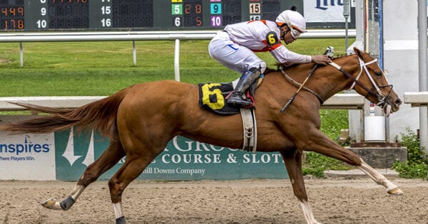 » Tapiture filly scores second stakes win