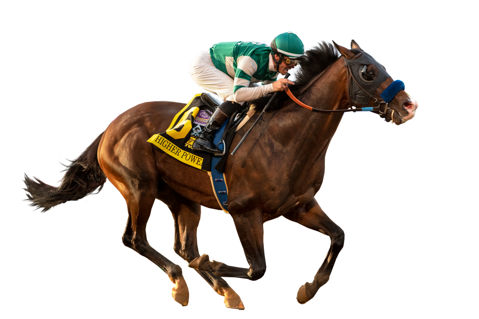 Grade 1 winner Higher Power to stand at Darby Dan Farm – Darby Dan Farm