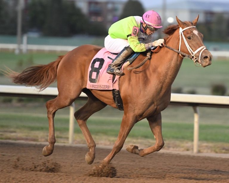 » Tapiture’s You Talkin to Me dominates in stakes debut