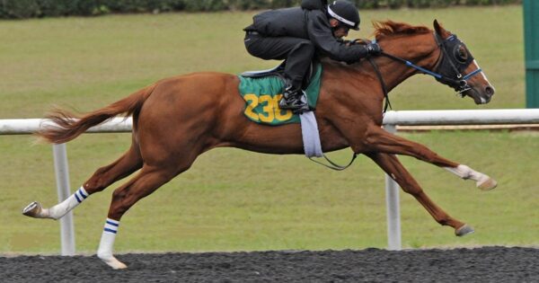 » Copper Bullet colt soars to $275,000 at OBS 2yo Sale opener