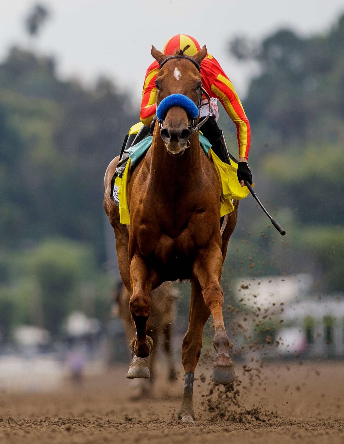 » Defunded wires foes in the G1 Hollywood Gold Cup