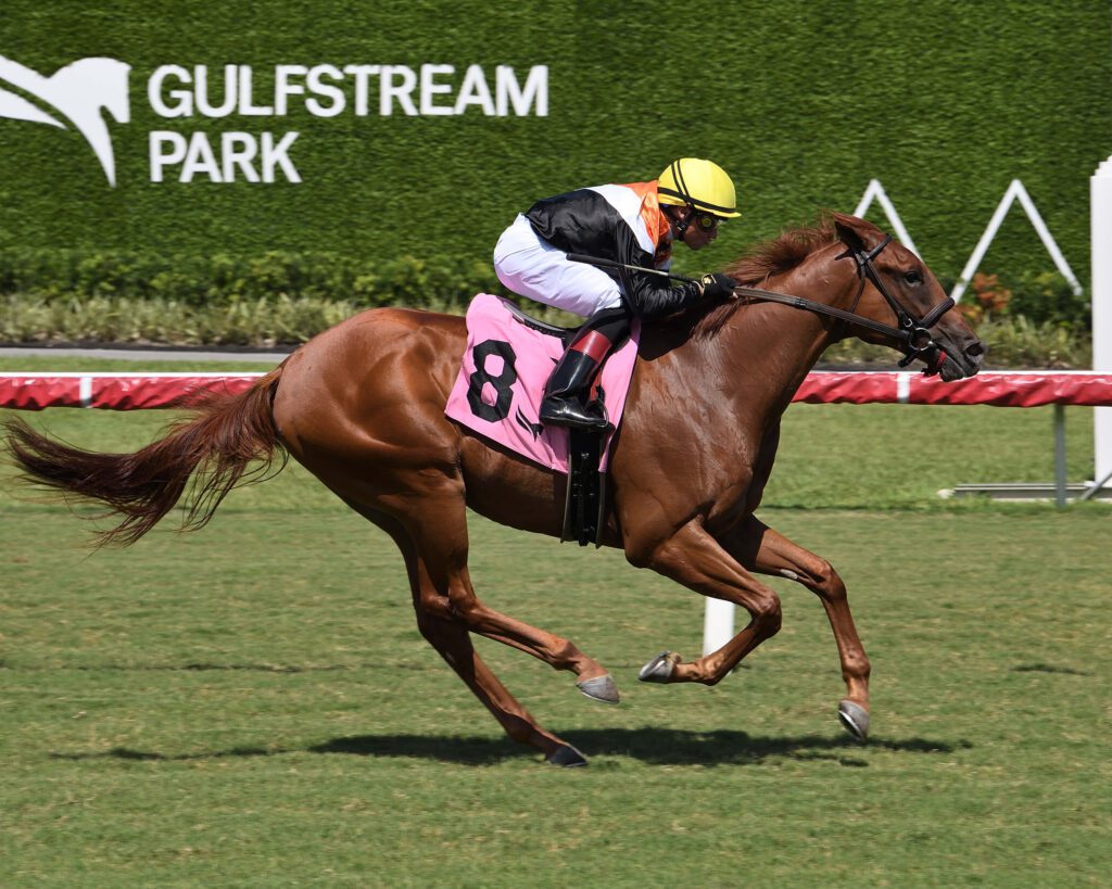 » Bridle a Butterfly is first winner for Darby Dan Farm’s Country House